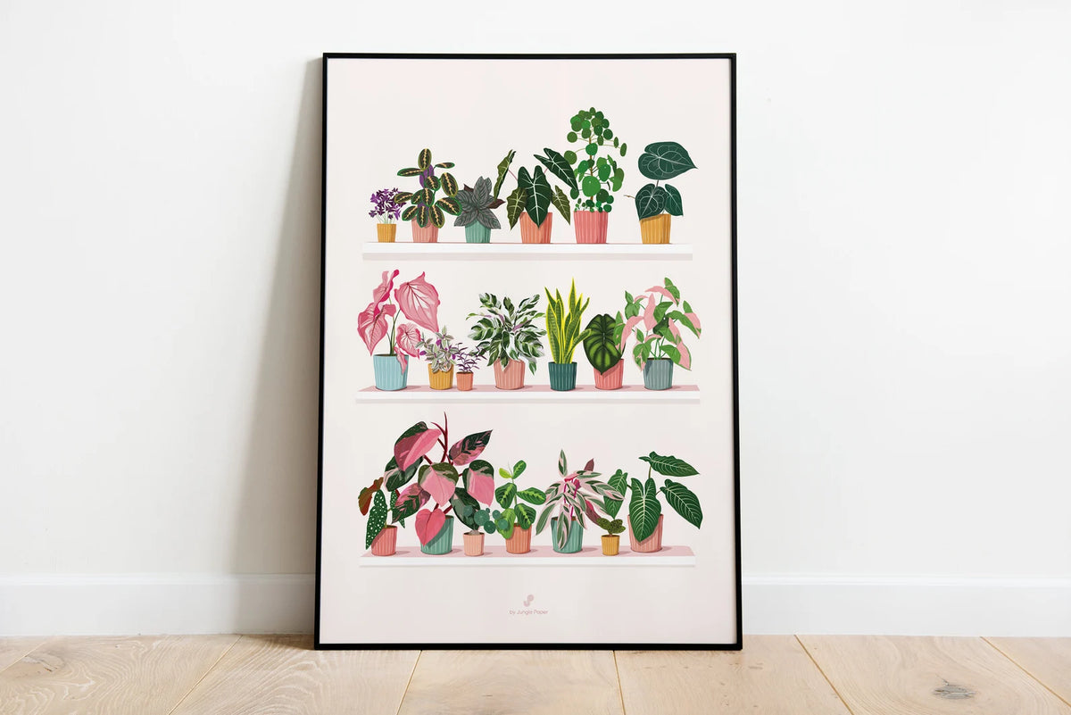 PLANT SHELF - Affiche plante A3/A4 - Poster, illustration végétale ...